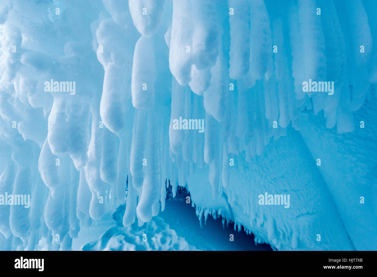 The frozen ceiling and icy walls of an ice cave in the Erebus Glacier ...