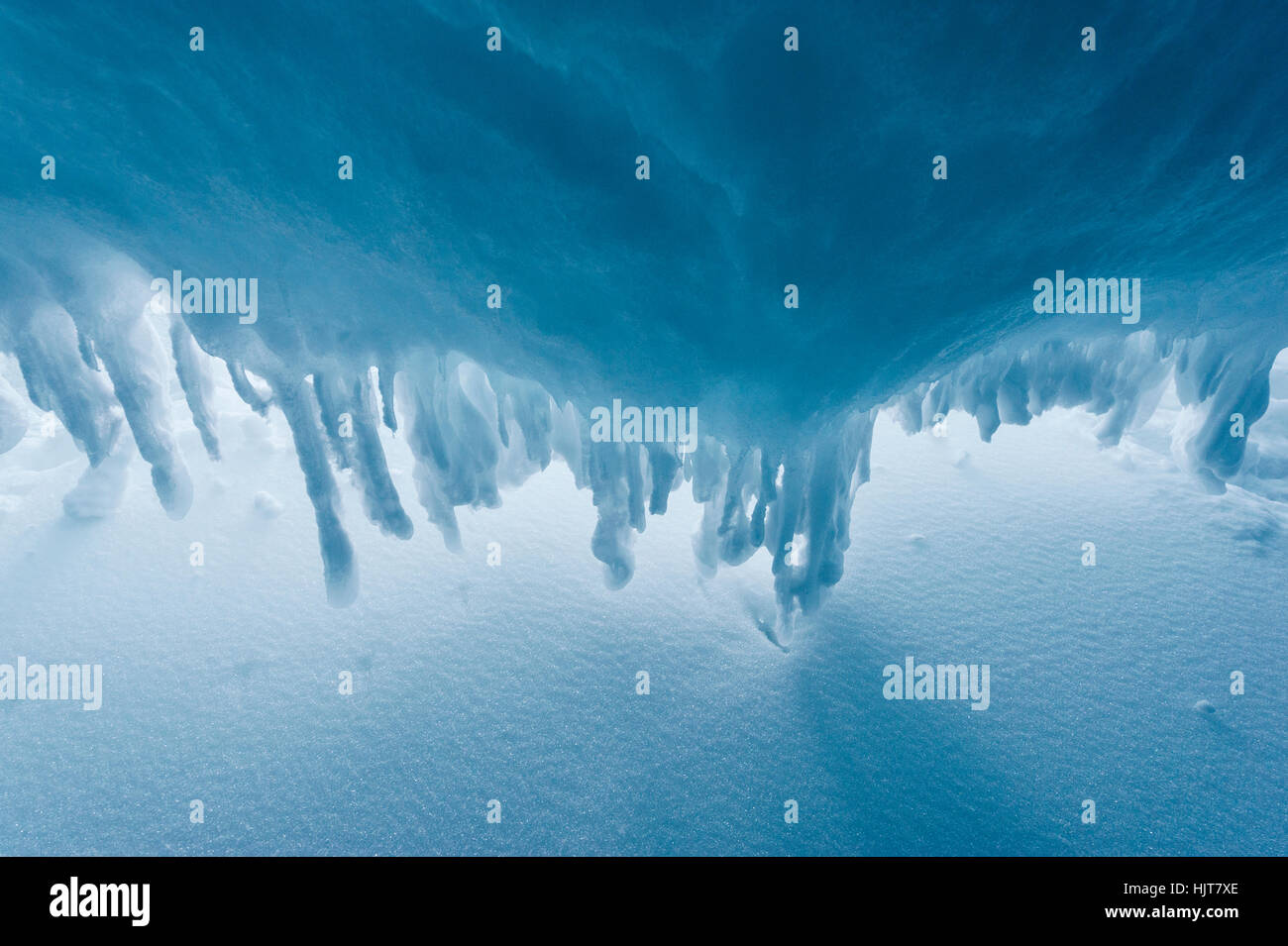 The frozen ceiling and icy walls of an ice cave in the Erebus Glacier ...