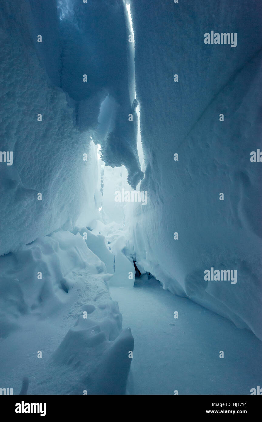The frozen ceiling and icy walls of an ice cave in the Erebus Glacier ...