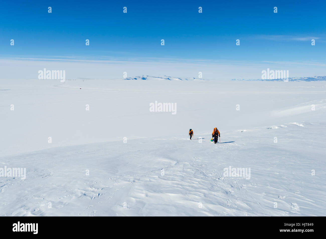 Field guide hi-res stock photography and images - Alamy