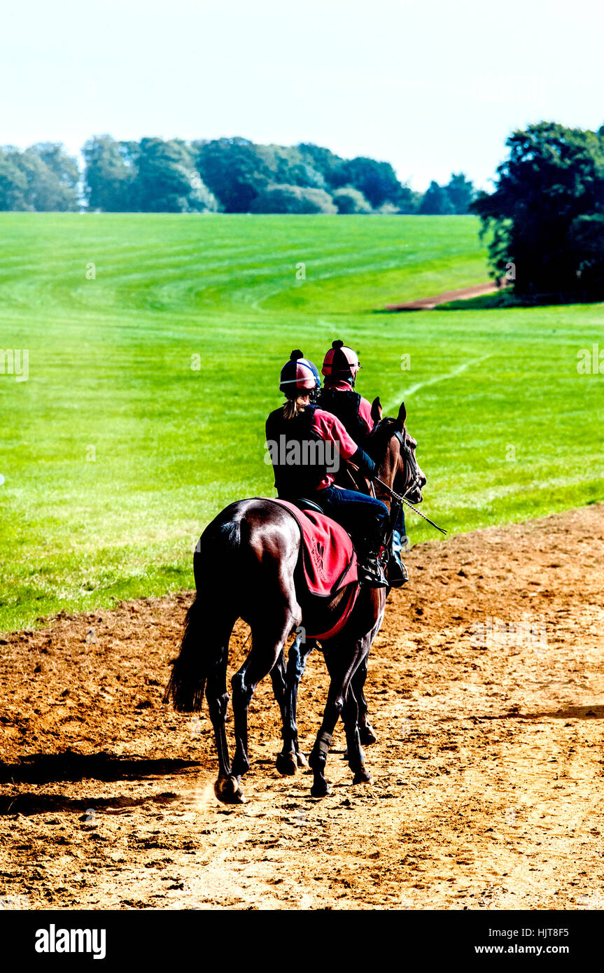 Reiterinnen hi-res stock photography and images - Alamy