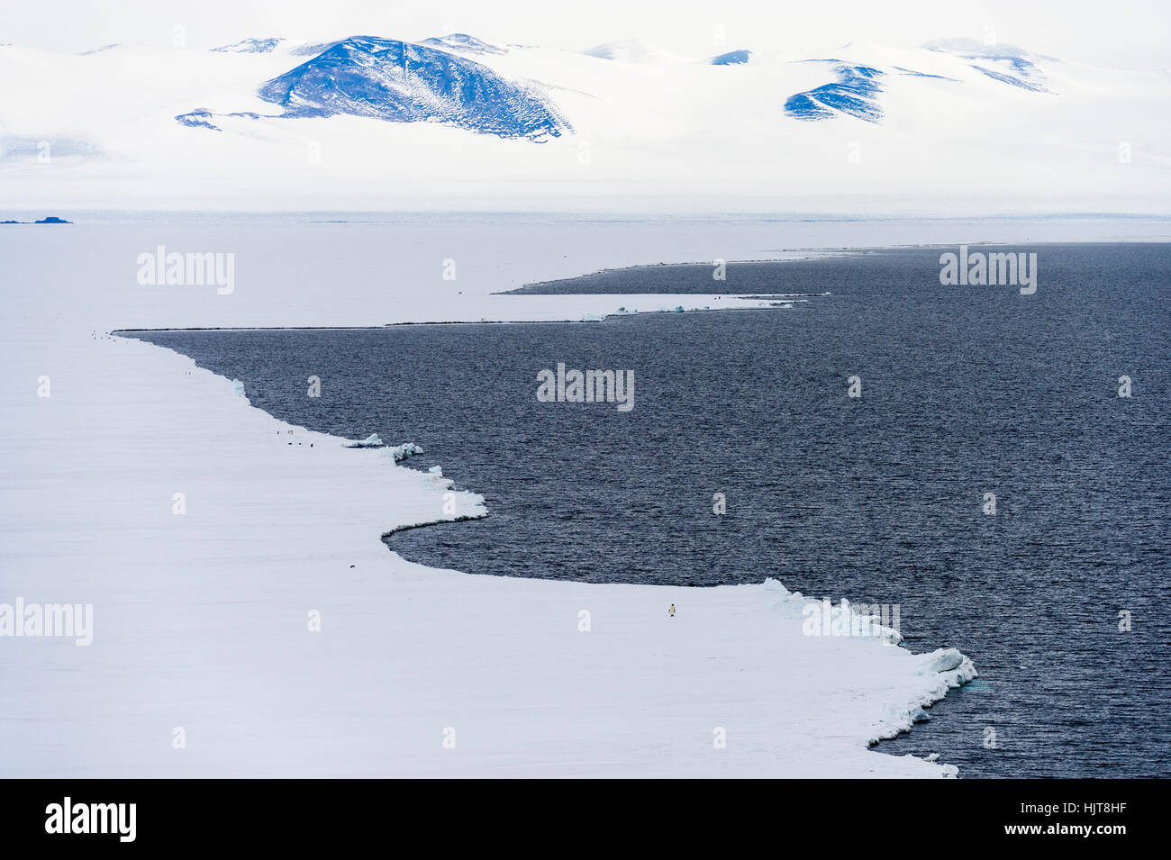 The sea ice edge and open ocean in Antarctica Stock Photo - Alamy