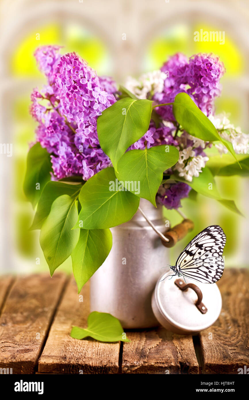 lilac bouquet in old pitcher Stock Photo - Alamy