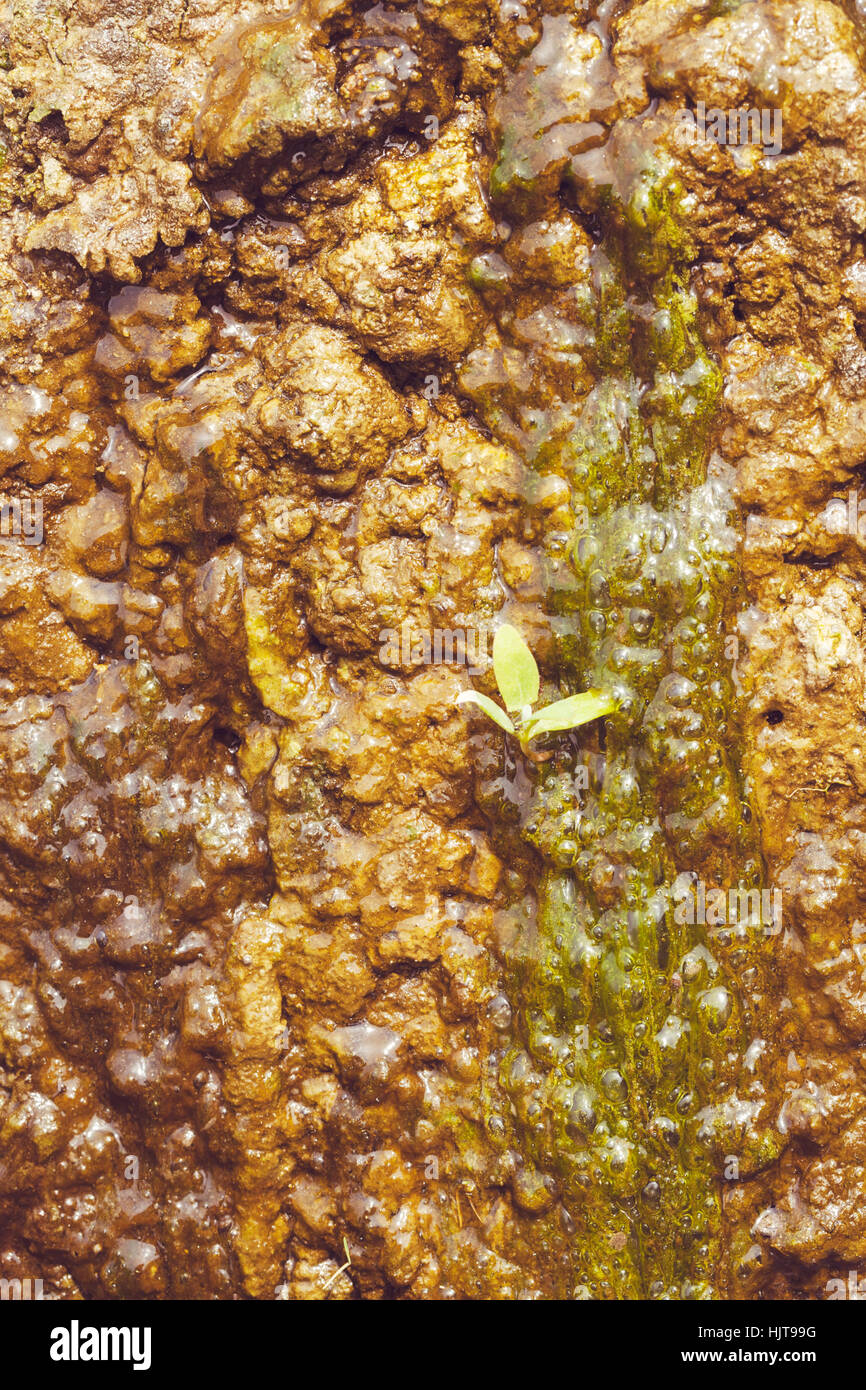 slippery rocks under the influence of long-term water, note shallow ...