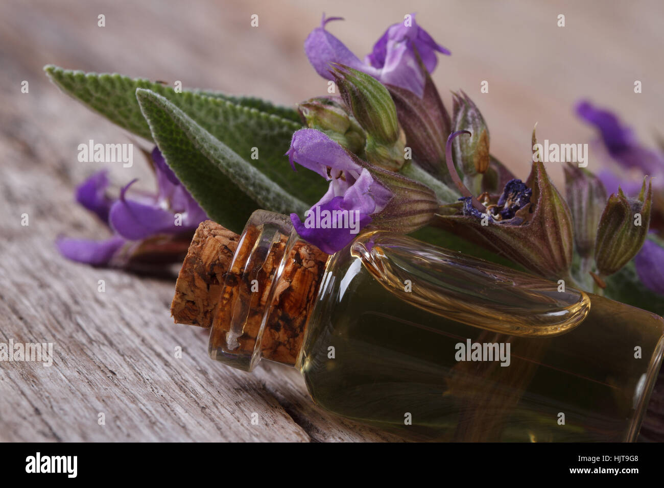 fragrant essence of sage in a glass bottle on the table macro ...
