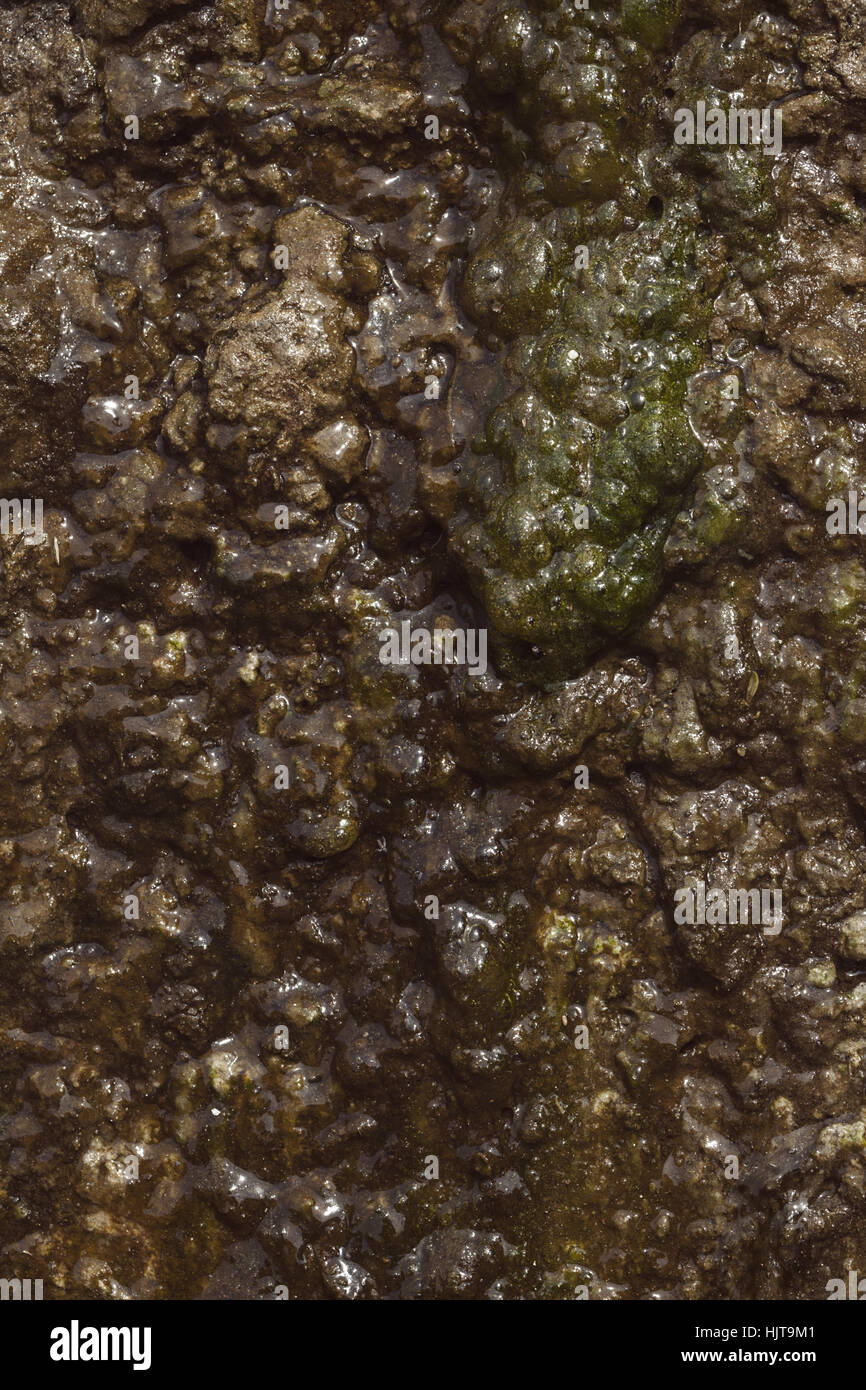 slippery rocks under the influence of long-term water, note shallow ...