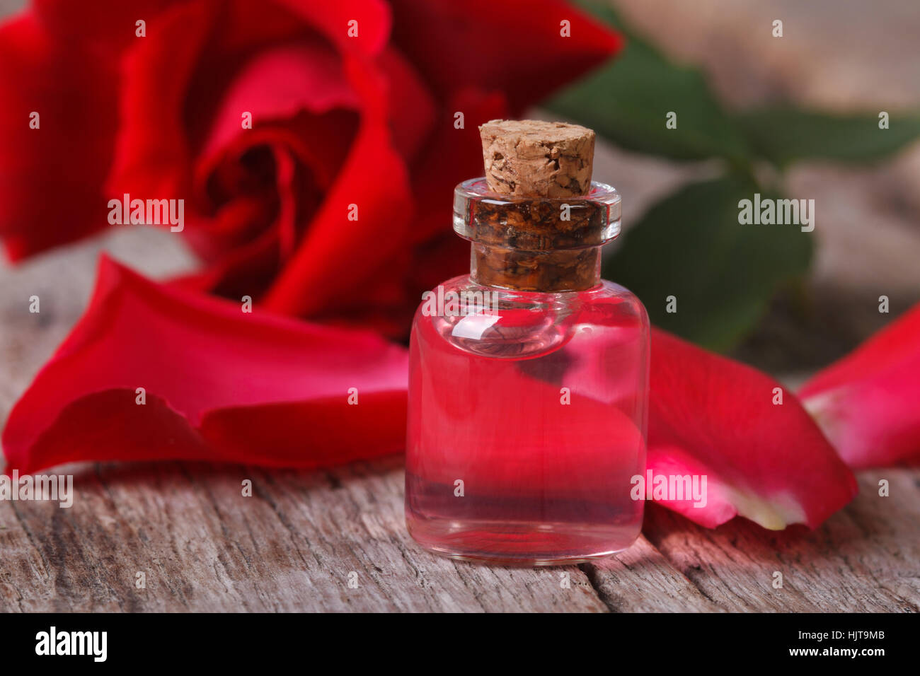 fragrant rose oil in a bottle on a background of red roses. horizontal ...