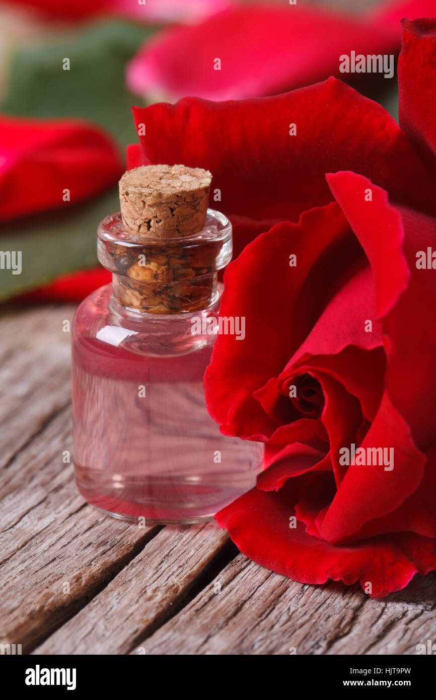 Red roses and delicate rose oil on the table macro vertical Stock Photo ...