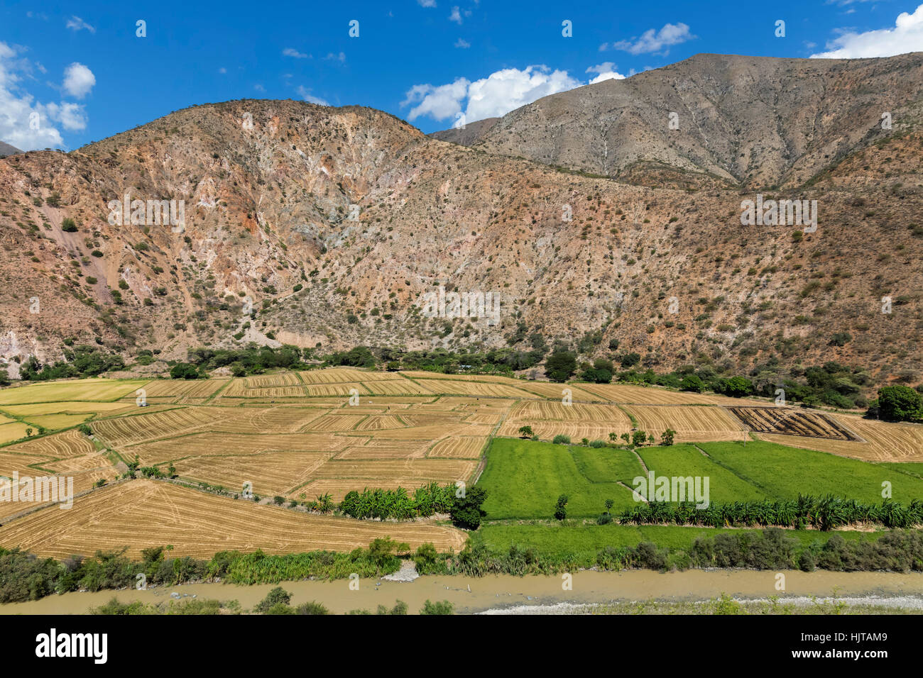 Peru, Province of Jaen, grain fields and paddy fields at Rio ...