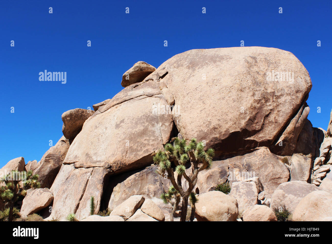 A close up of Cap Rock on the Cap Rock Nature Trail in Joshua Tree ...