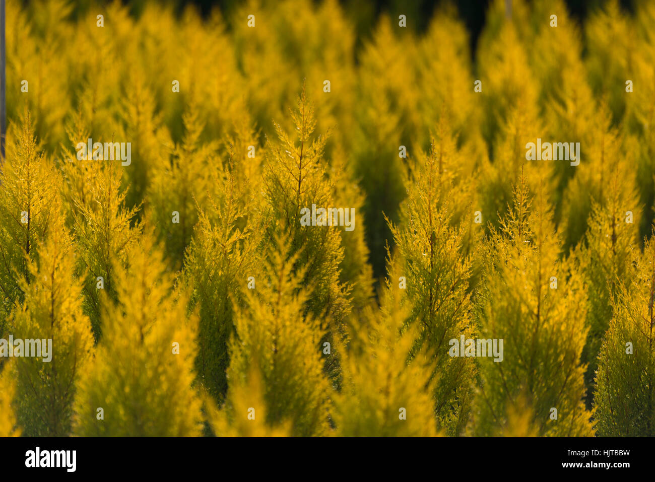 Contour farm hi-res stock photography and images - Alamy