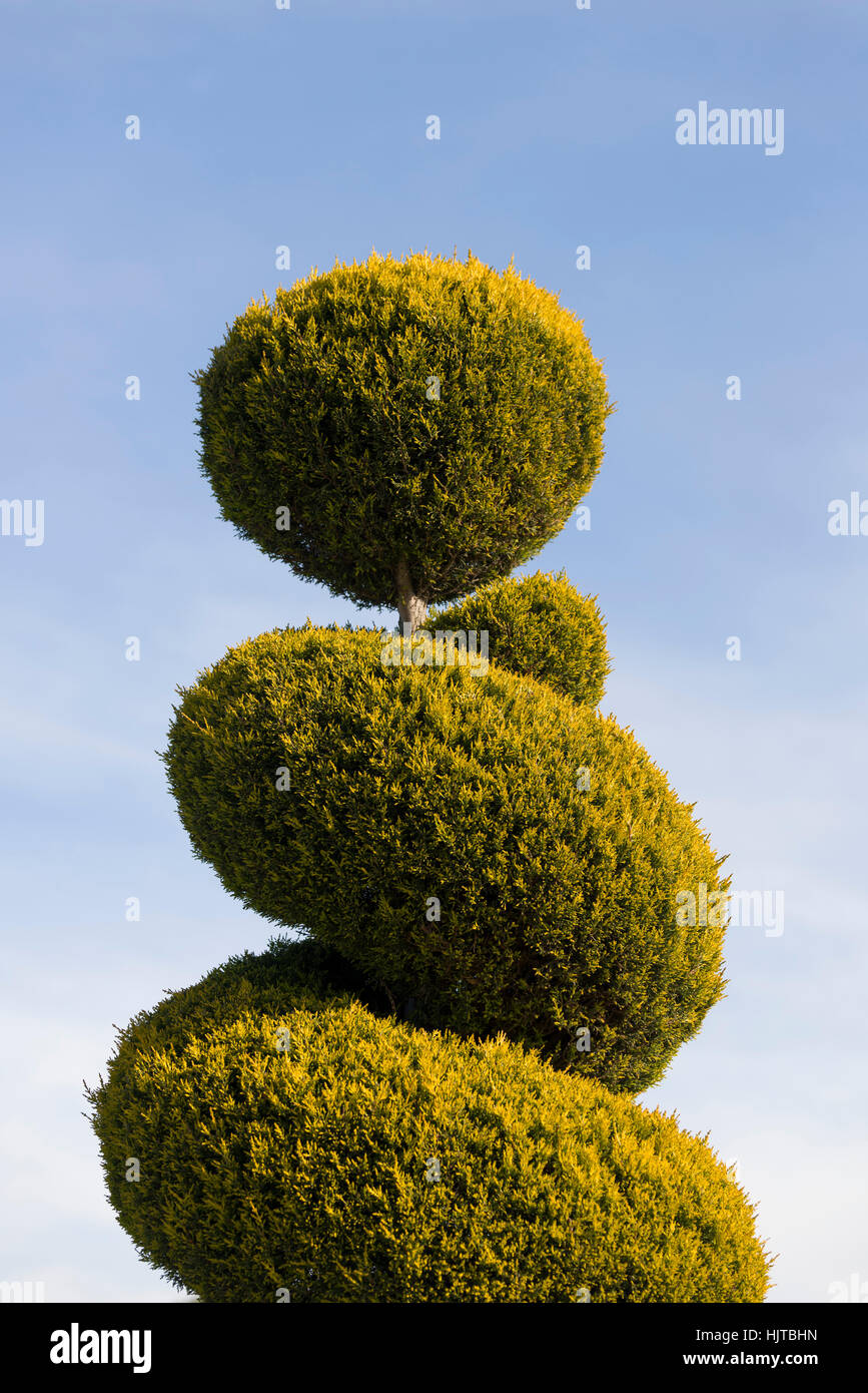 Leaves sculptured tree on a blue sky background Stock Photo - Alamy