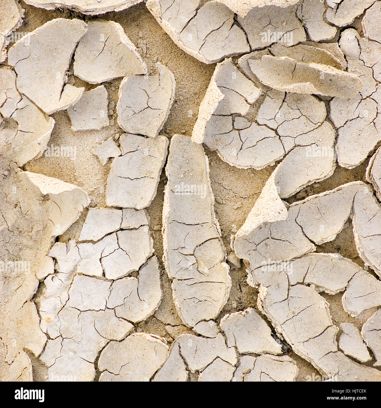 Cracked dry ground after drought, large detailed textured beige tan ...