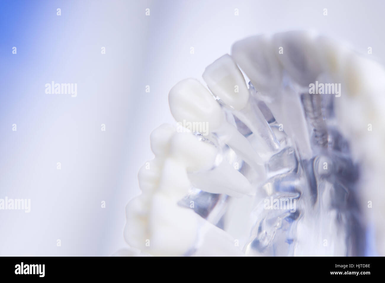 Dentists tooth plastic model used for teaching, learning and patient ...