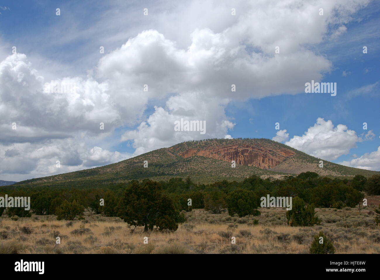 hill, usa, rock, steppe, bush, arizona, mountain, tree, hill, desert ...
