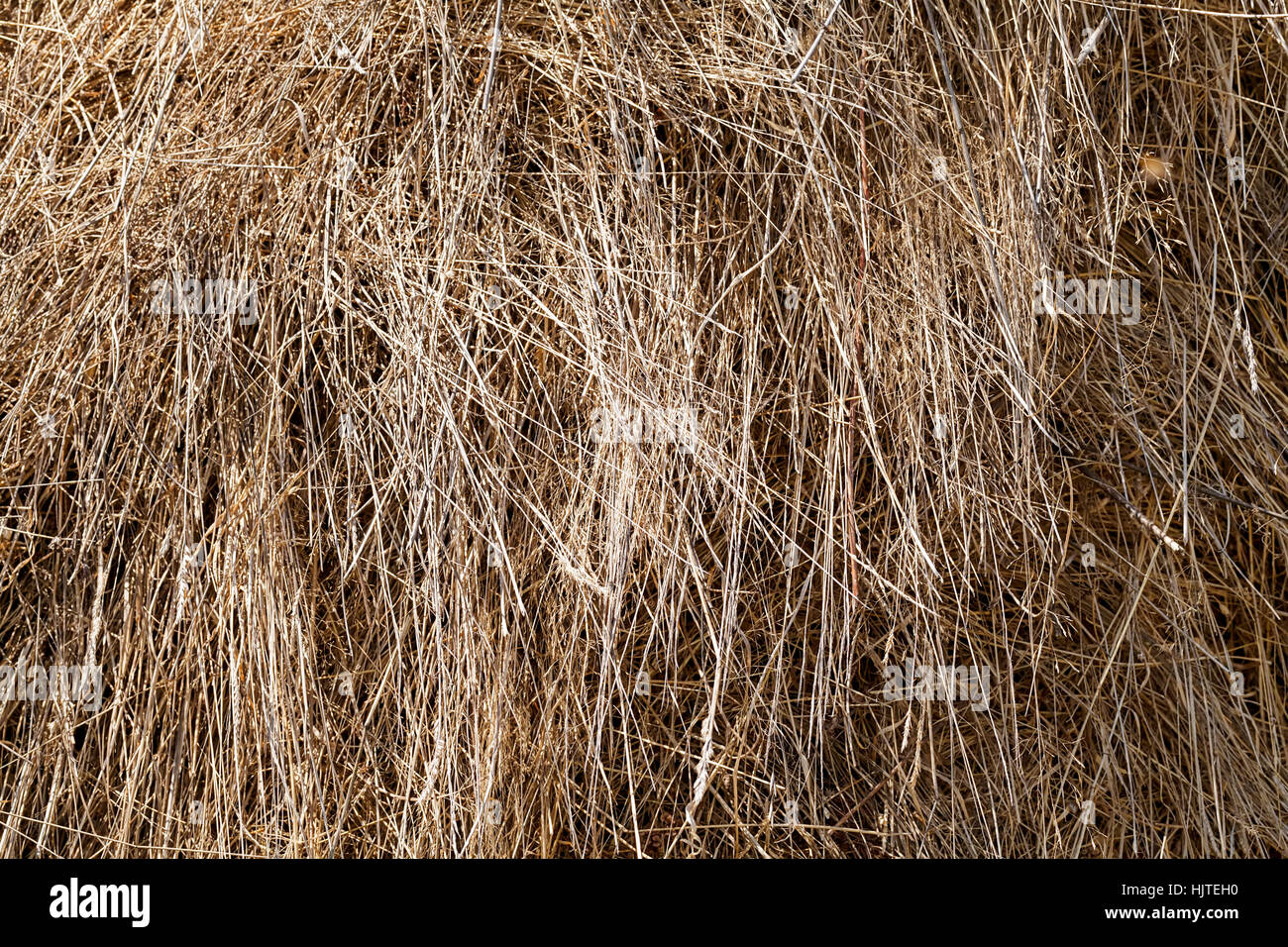 dry thatch on the meadow, note shallow depth of field Stock Photo - Alamy