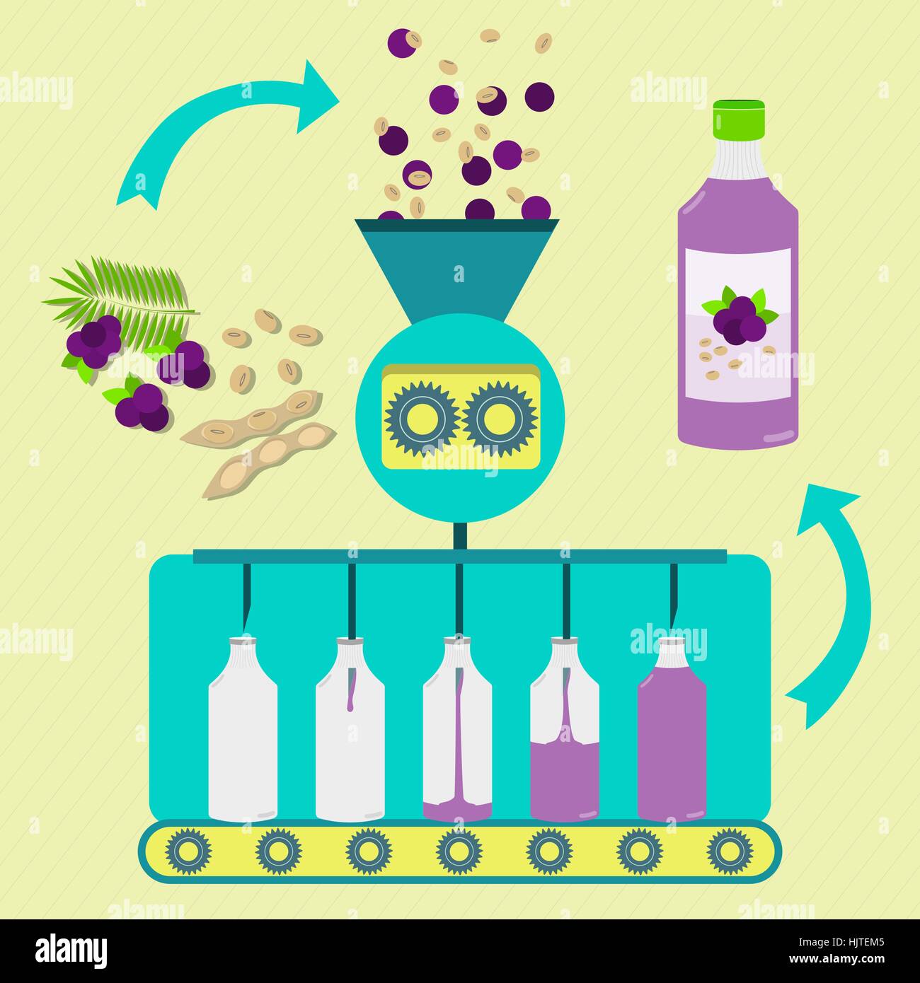 Acai fruit vector vectors hi-res stock photography and images - Alamy