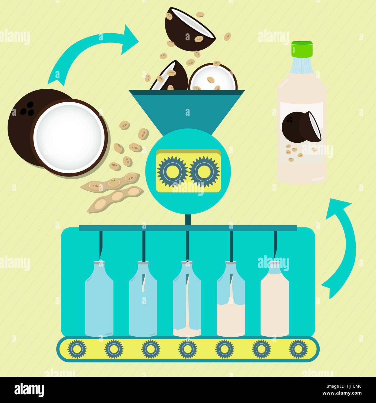 Coconut and soy juice series production. Fresh coconuts and soybean pod ...