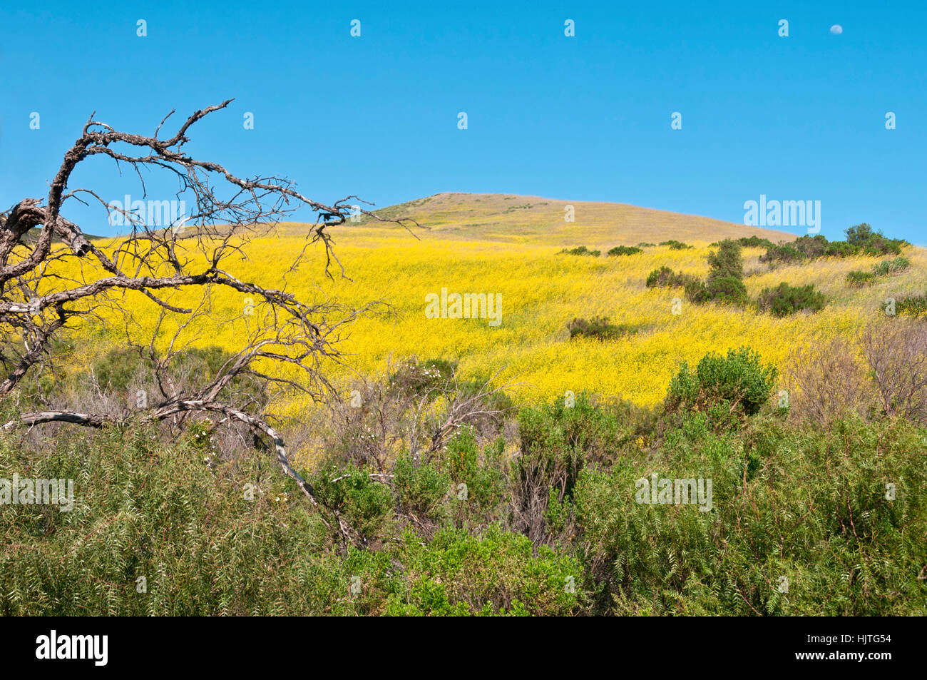 coloured, colourful, gorgeous, multifarious, richly coloured ...