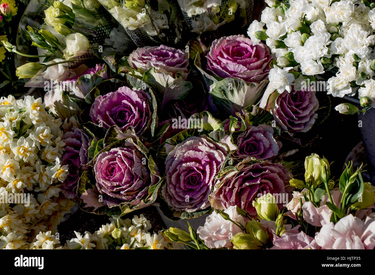 Beautiful fresh flowers as a nature background Stock Photo - Alamy