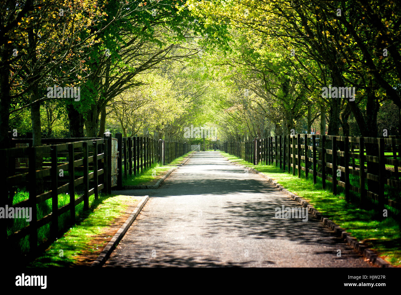 Oxygen line hi-res stock photography and images - Alamy