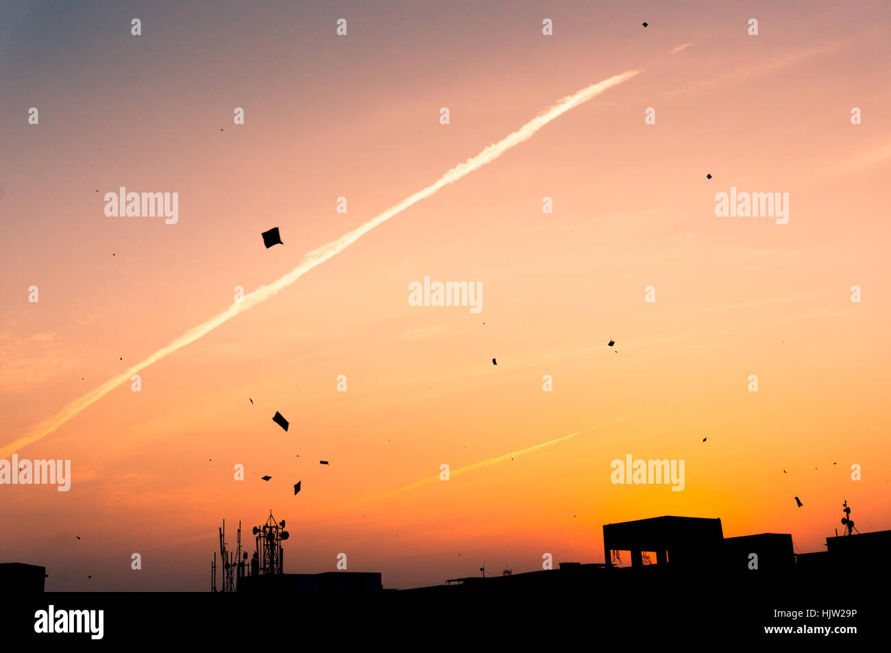 Kites flying at sunset in Jaipur against teh silhouette of buildings ...