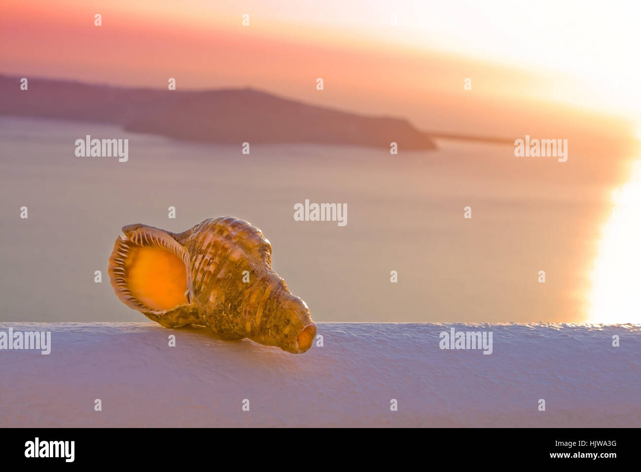A seashell on a ledge with ocean sunset Stock Photo - Alamy