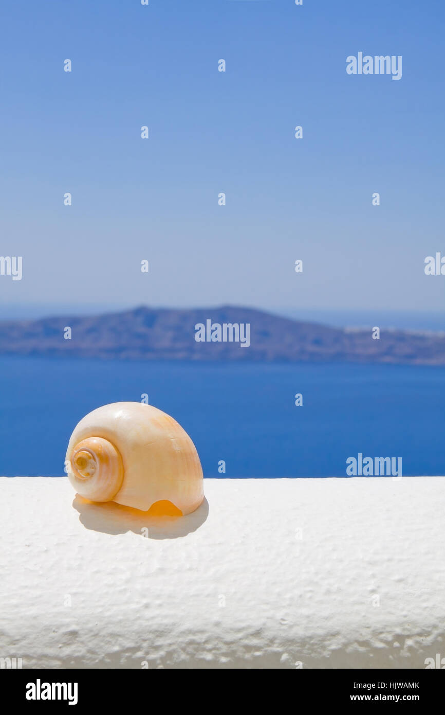 A seashell on a ledge with ocean background Stock Photo - Alamy