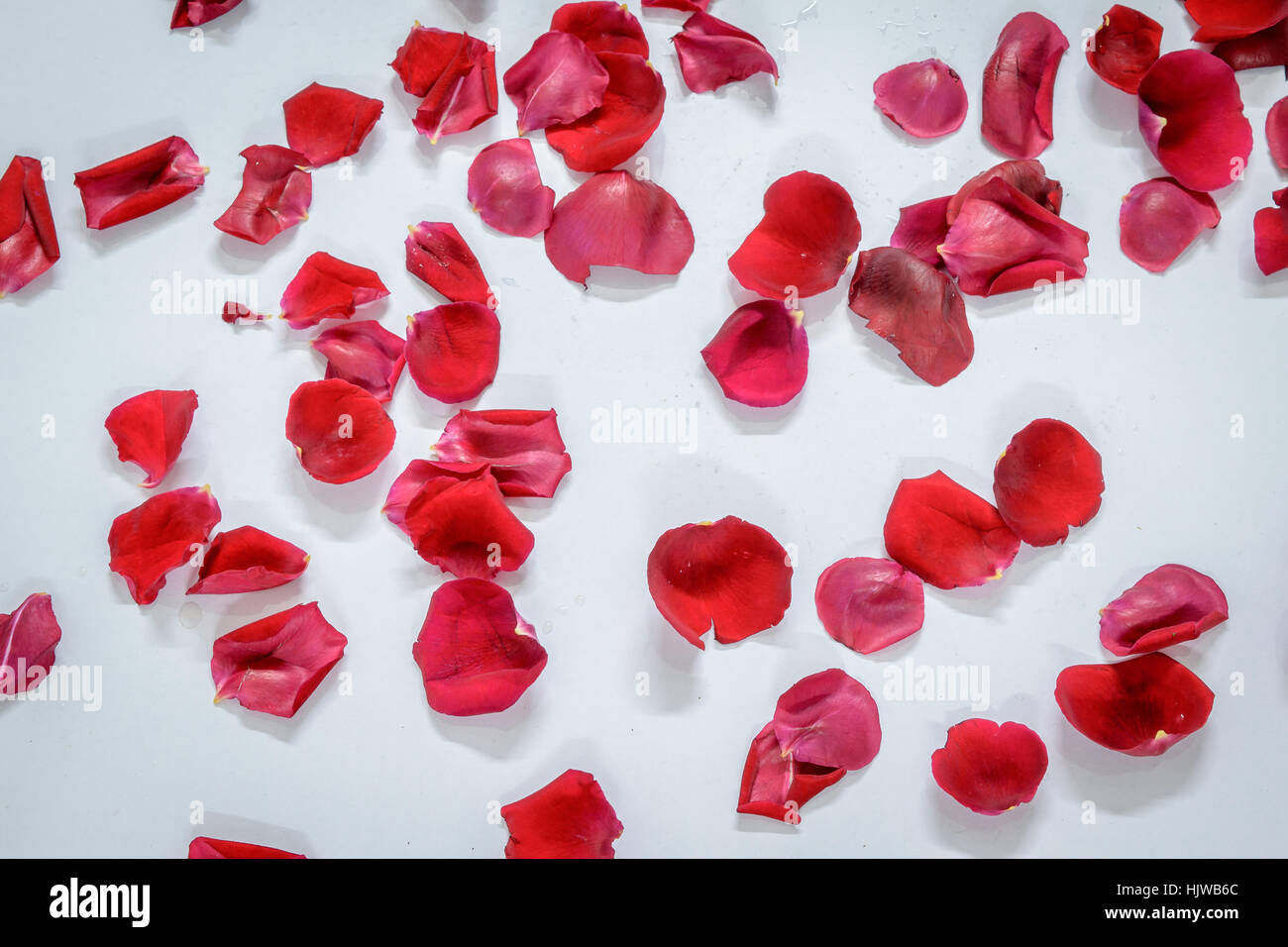 Petal structures hi-res stock photography and images - Alamy