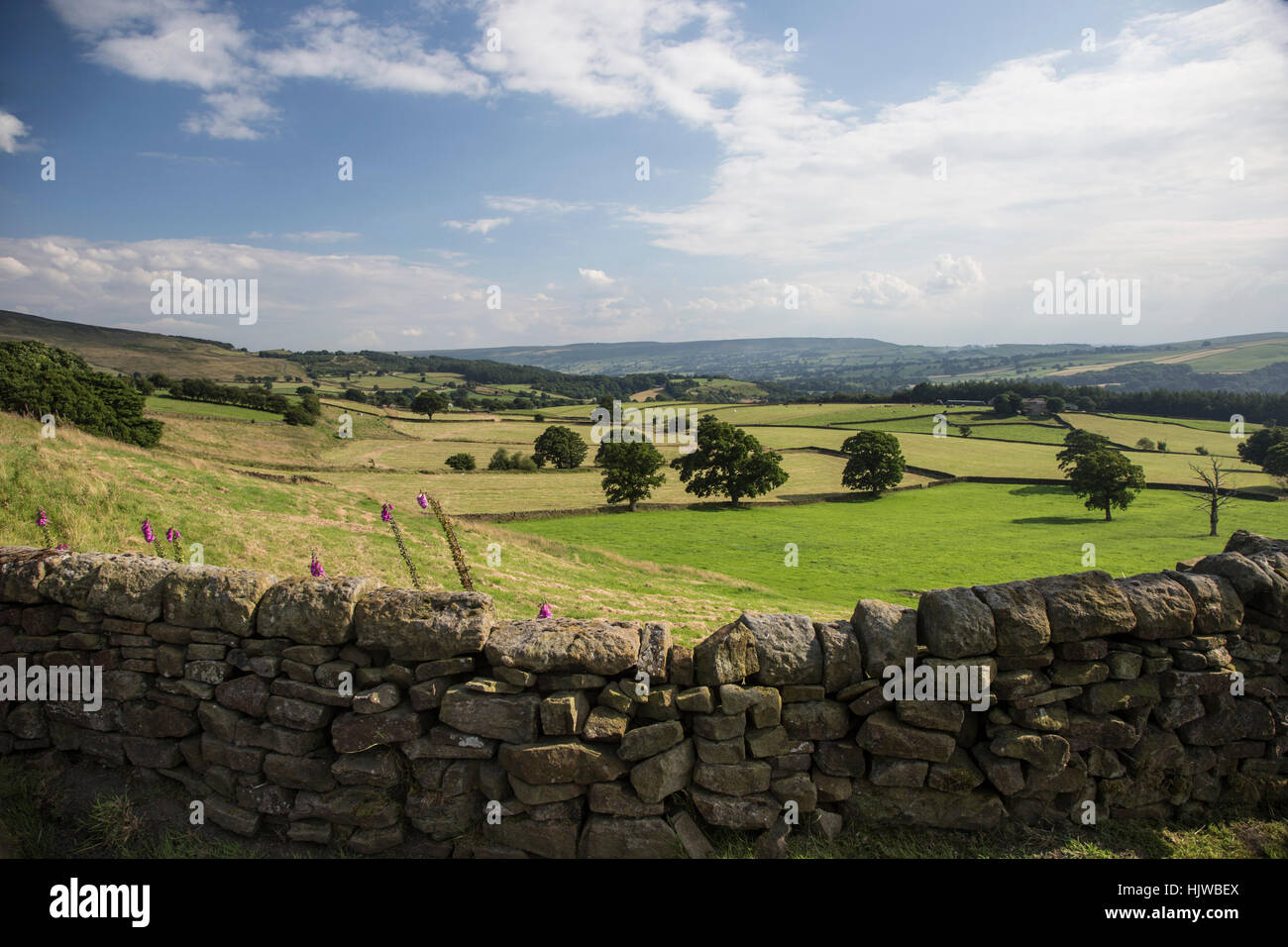Lower Wharfedale viewed from Bolton Abbey, looking across to Ilkley Cow ...