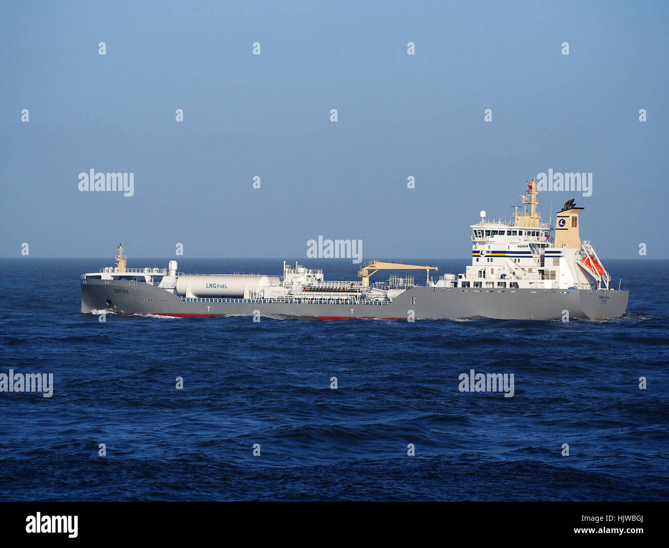 The Tern Sea, a vessel with IMO number 9747974, is a modern cargo ship ...