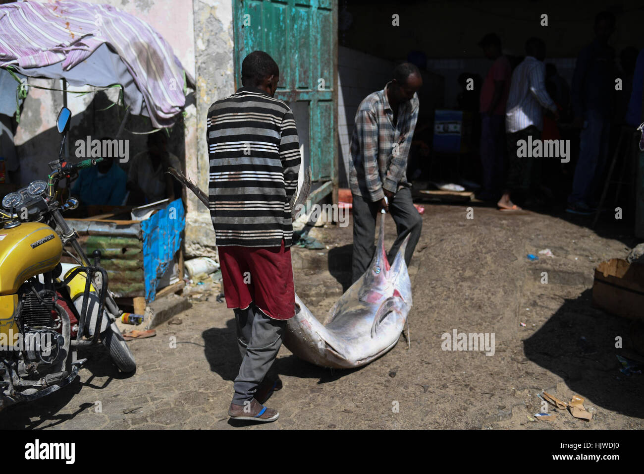 Fishermen carry their catch at Hamarweyne fish market in Mogadishu ...
