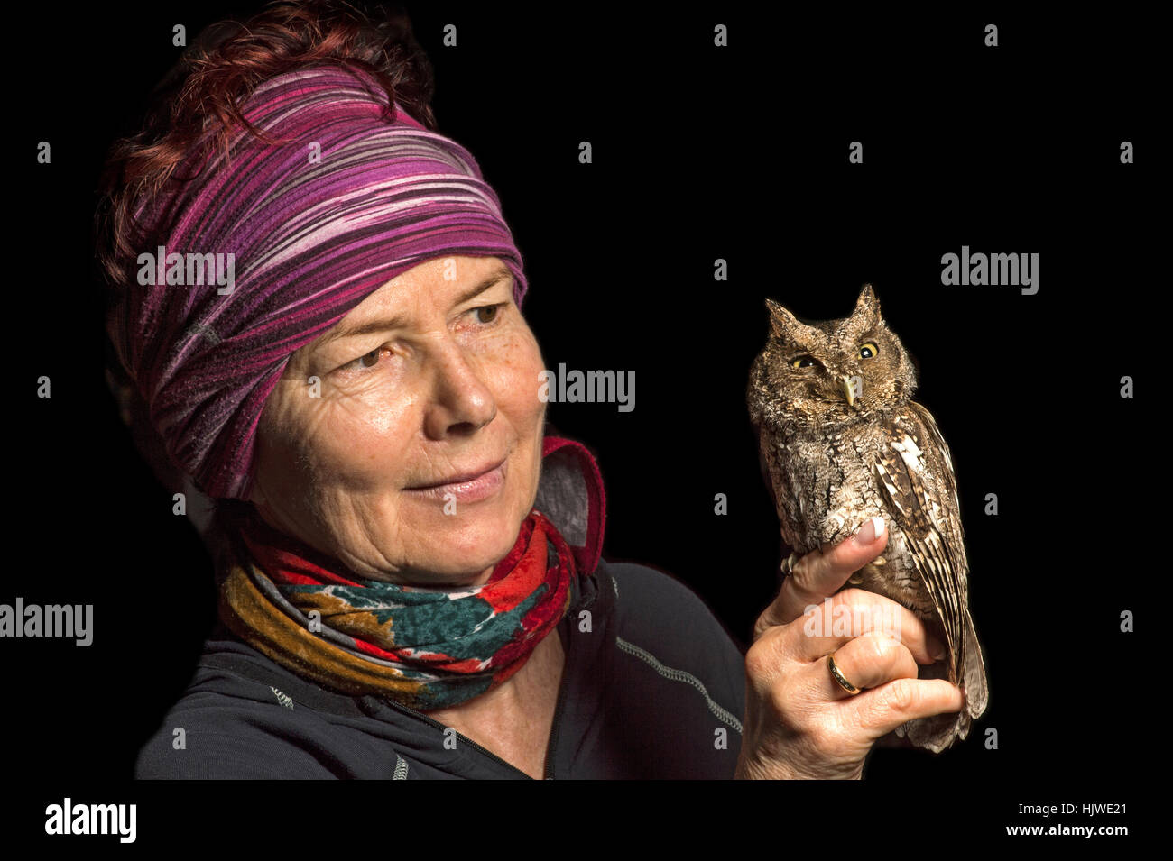 Megascops hi-res stock photography and images - Alamy