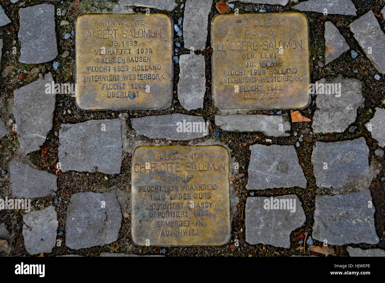 Stumbling Stone Stock Photos & Stumbling Stone Stock Images - Alamy