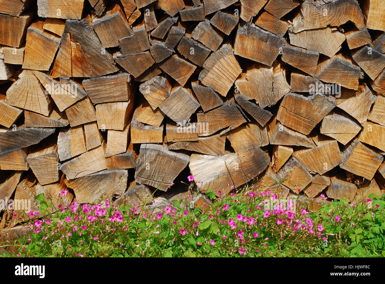 Stack of wood Stock Photo - Alamy