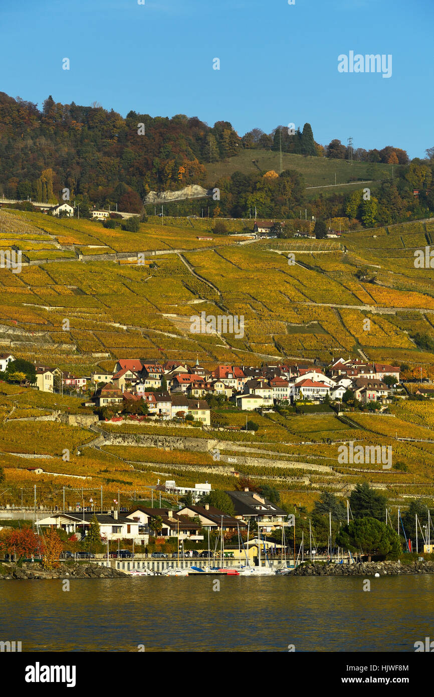 Vineyards in autumn with wine village Epesses, Lake Geneva, Lavaux ...
