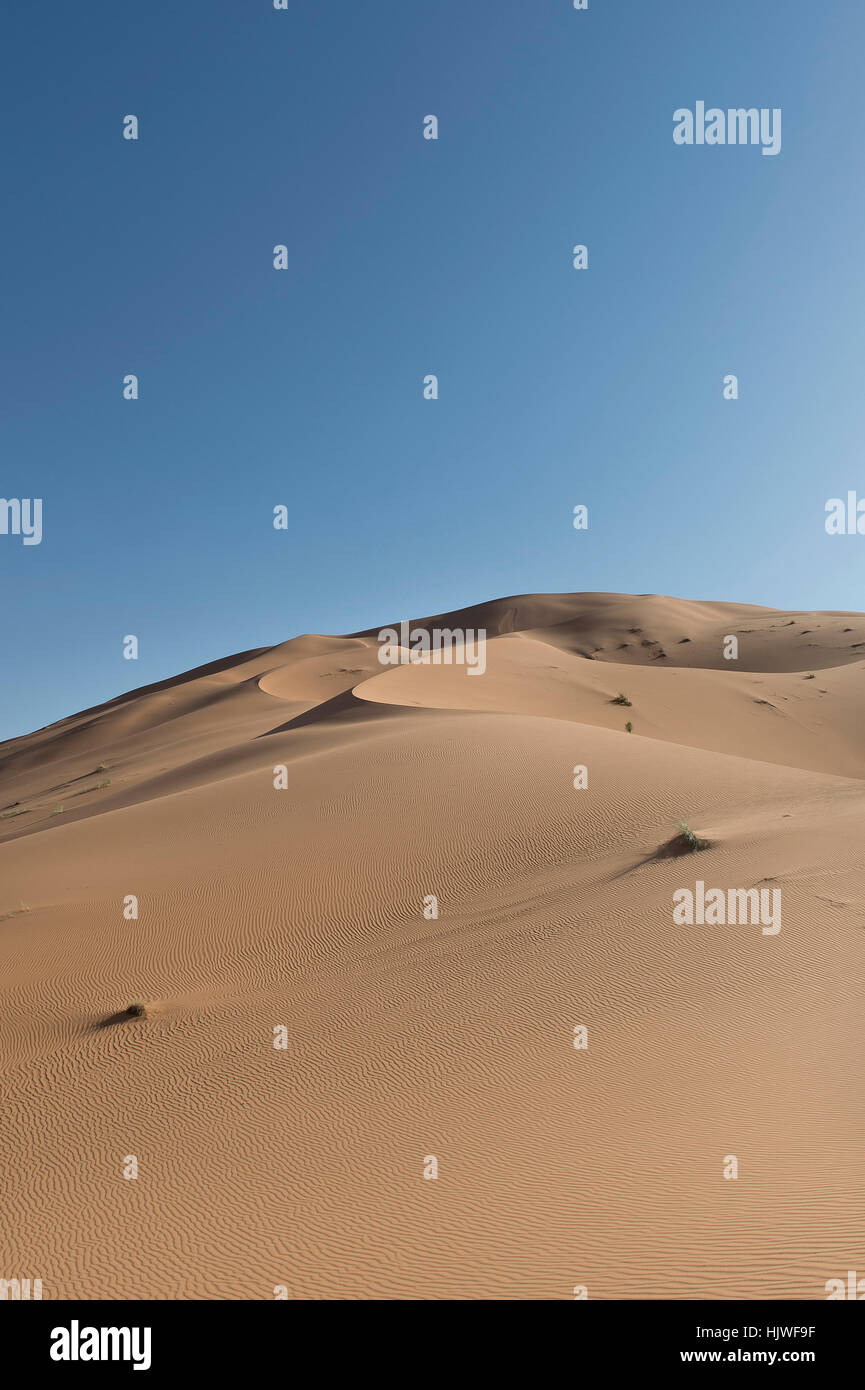 Structures in desert sand, dunes of Tanamoust, Sahara, Morocco Stock ...