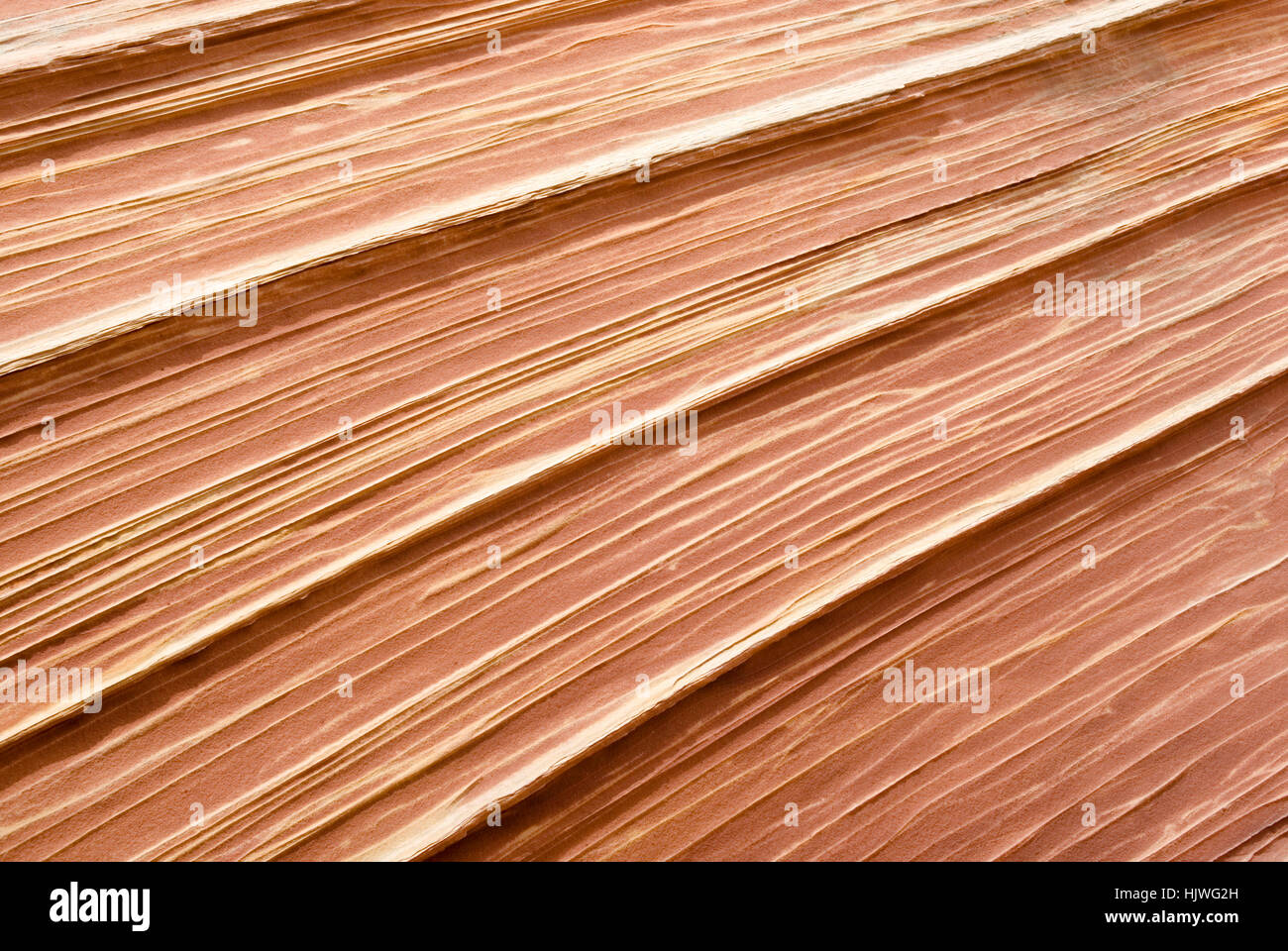 Sandstone structures, The Wave, Arizona, USA Stock Photo - Alamy