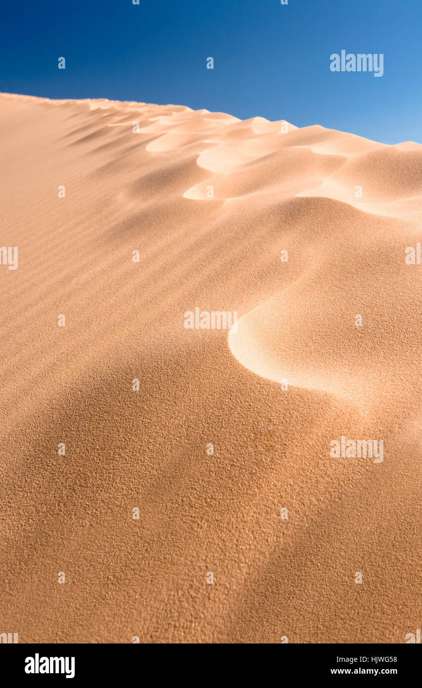 Dune, Coral Pink Sand Dunes State Park, Kanab, Utah, USA Stock Photo ...