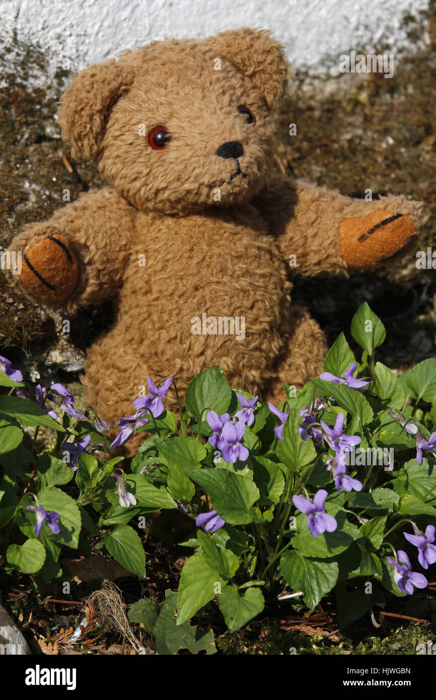 garden, flower, flowers, plant, toy, teddy, teddy bear, teddybear ...