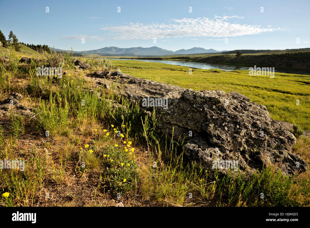 WY02167-00...WYOMING - The Yellowstone River in the Hayden Valley of ...