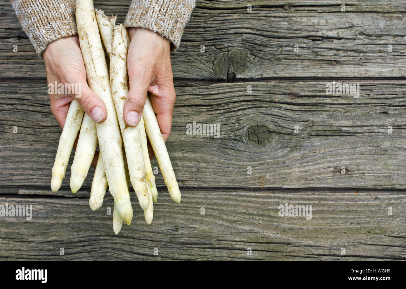 board, wood, ground, soil, earth, humus, brown, brownish, brunette ...