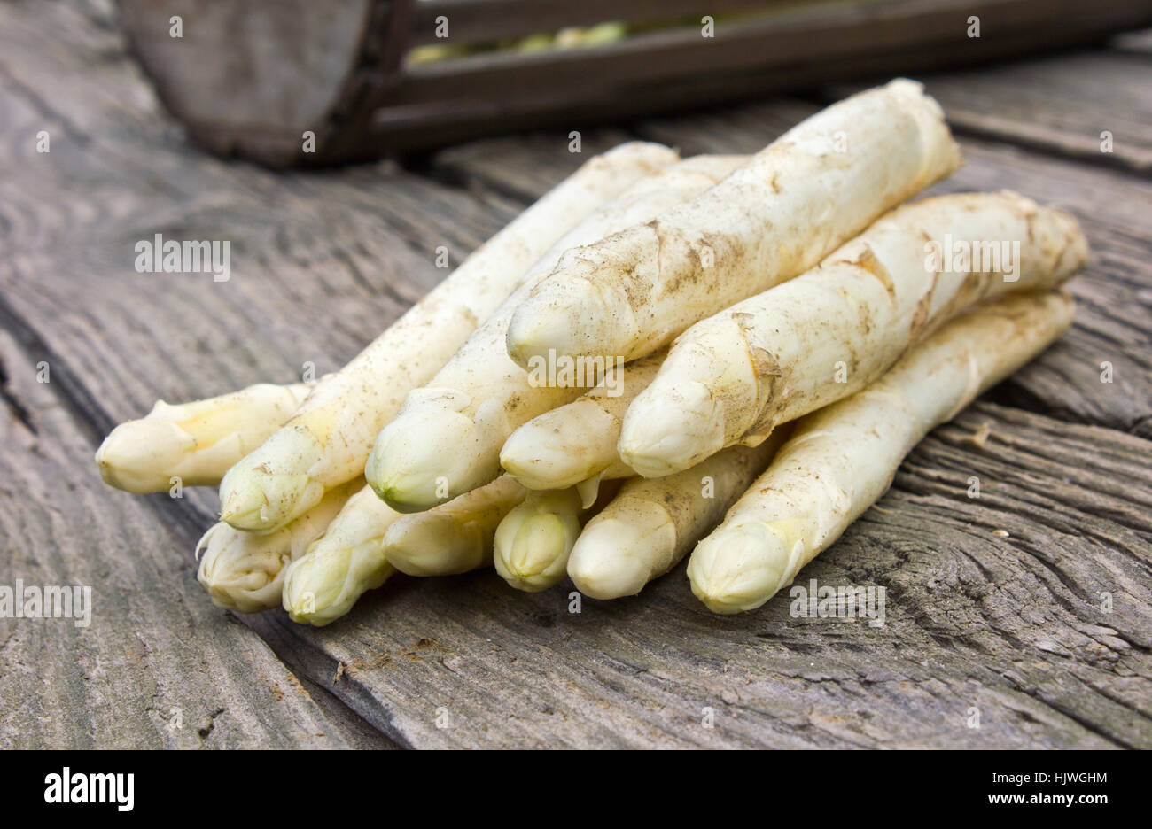 board, wood, ground, soil, earth, humus, brown, brownish, brunette ...