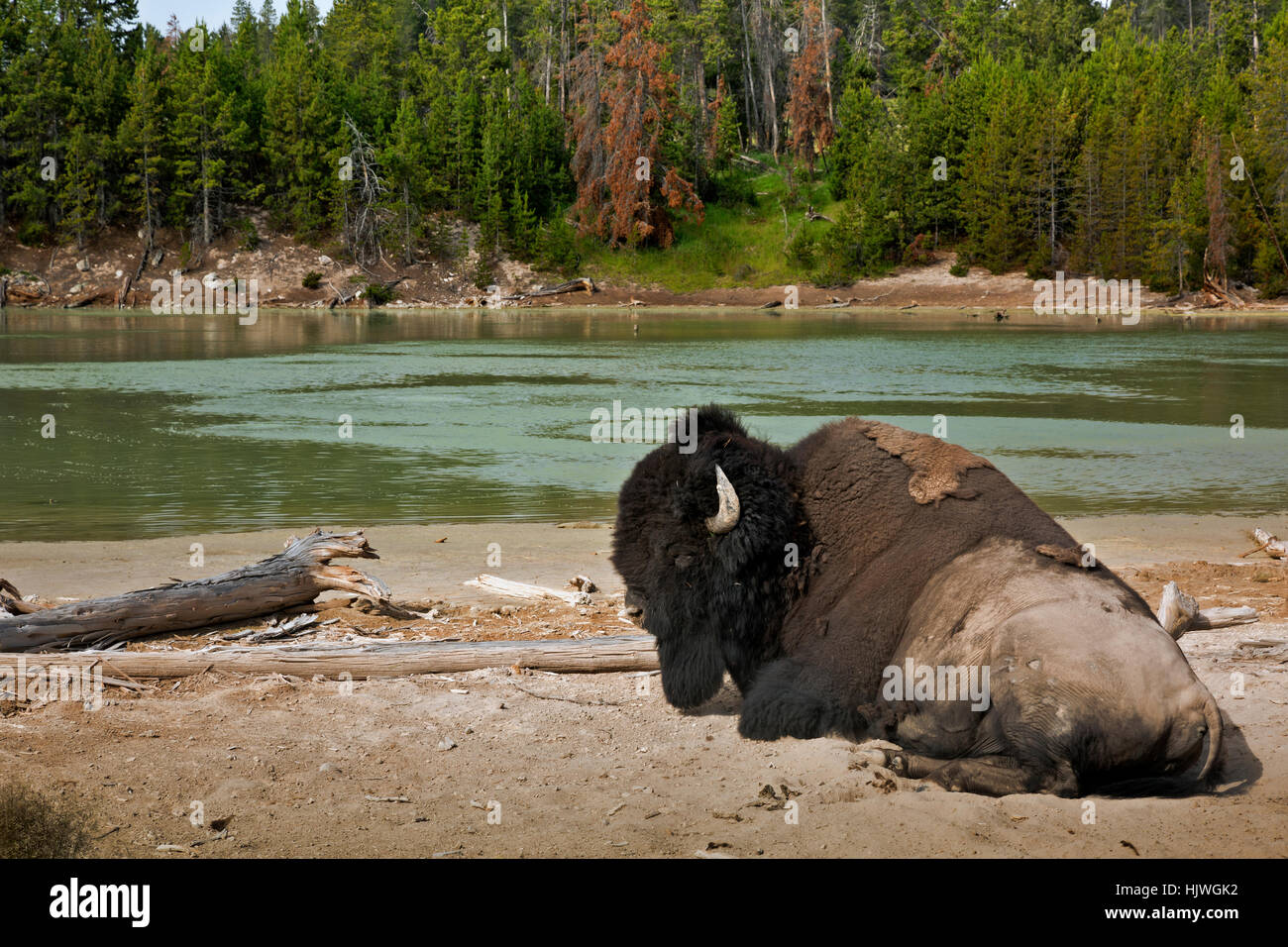 Thermal pool park hi-res stock photography and images - Alamy