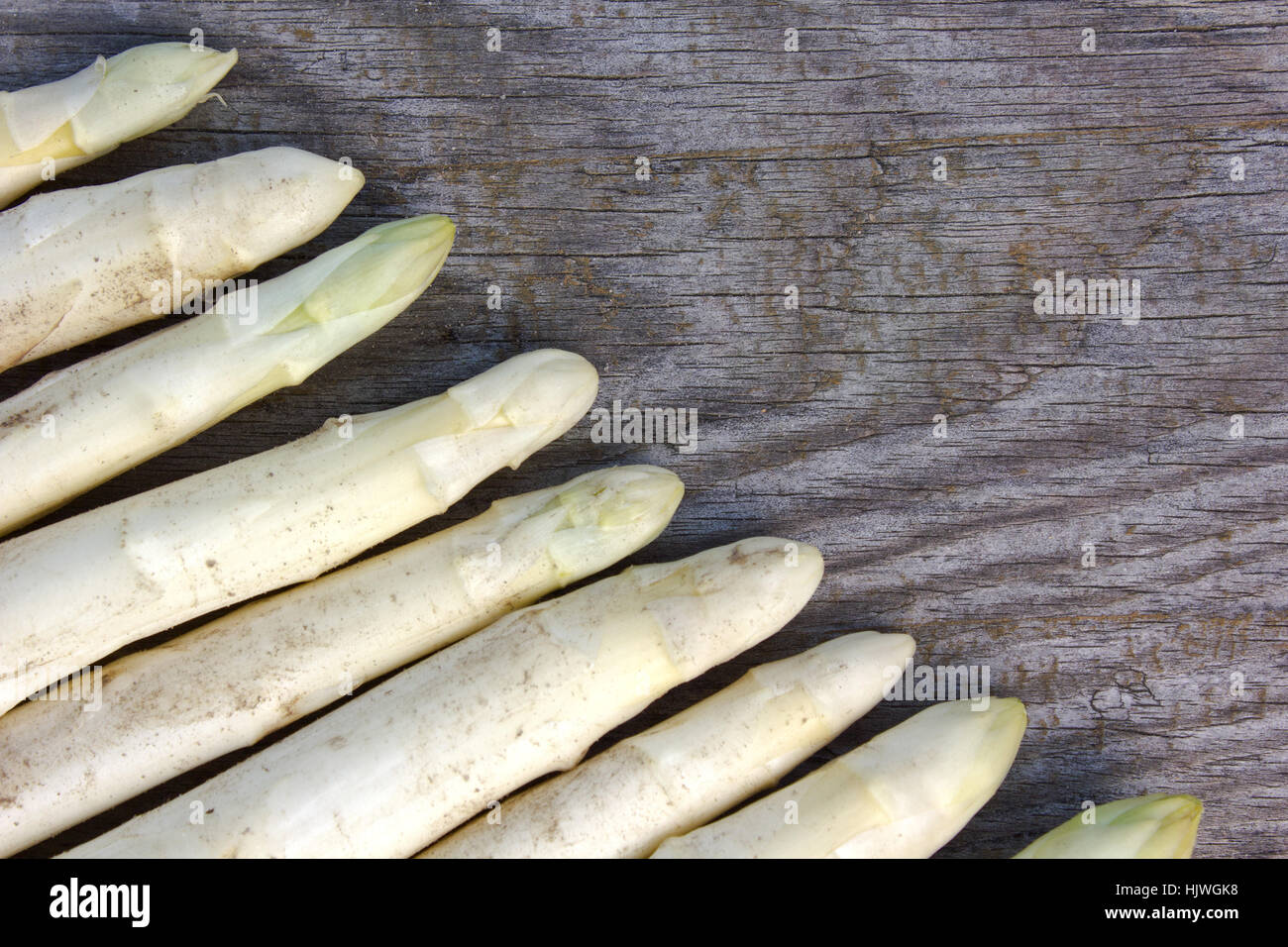board, wood, ground, soil, earth, humus, brown, brownish, brunette ...