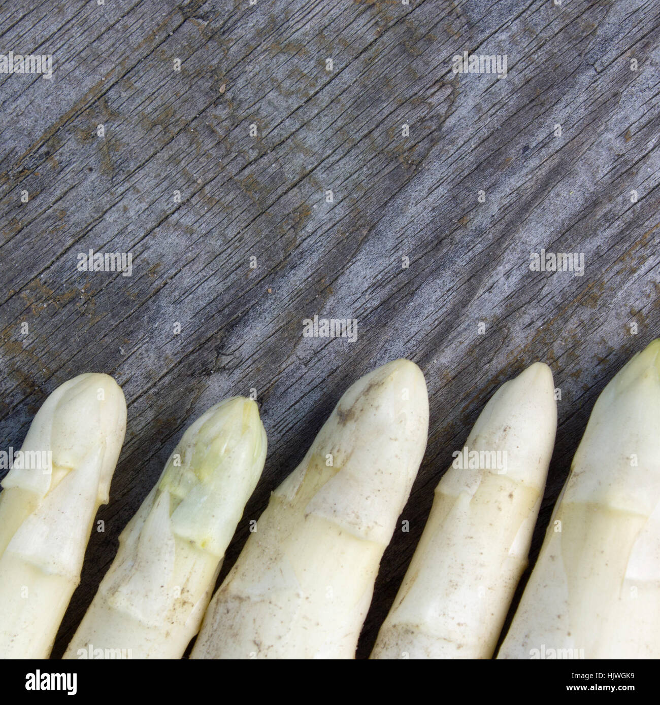 board, wood, ground, soil, earth, humus, brown, brownish, brunette ...