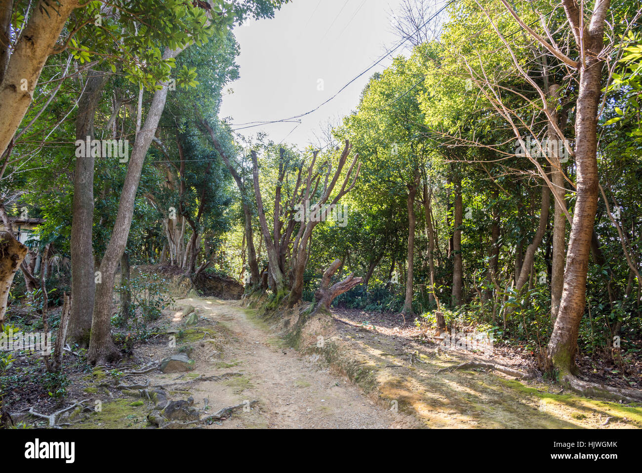 Masakijima, Shima City, Mie Prefecture,Japan Stock Photo - Alamy