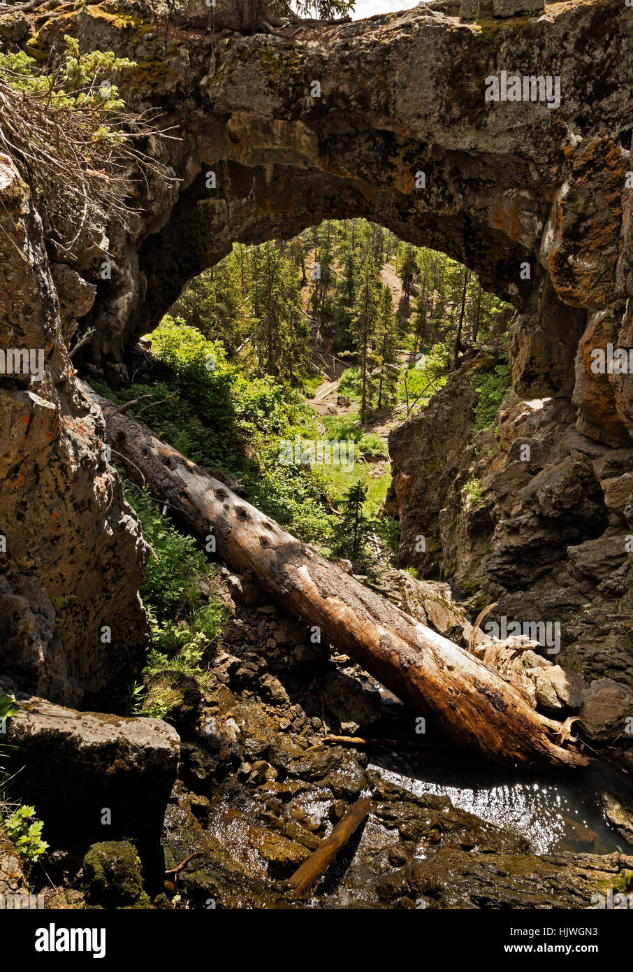 WY02187-00...WYOMING - View through the Natural Bridge near Bridge Bay ...