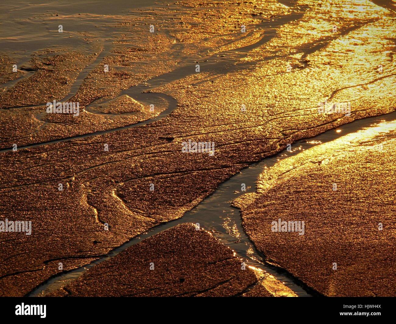 beach, seaside, the beach, seashore, watt, setting sun, mud flats ...