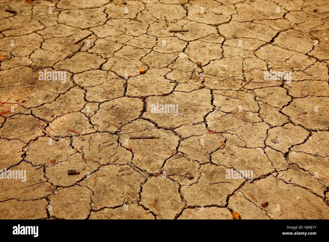 ground, soil, earth, humus, brown, brownish, brunette, surface, pattern ...